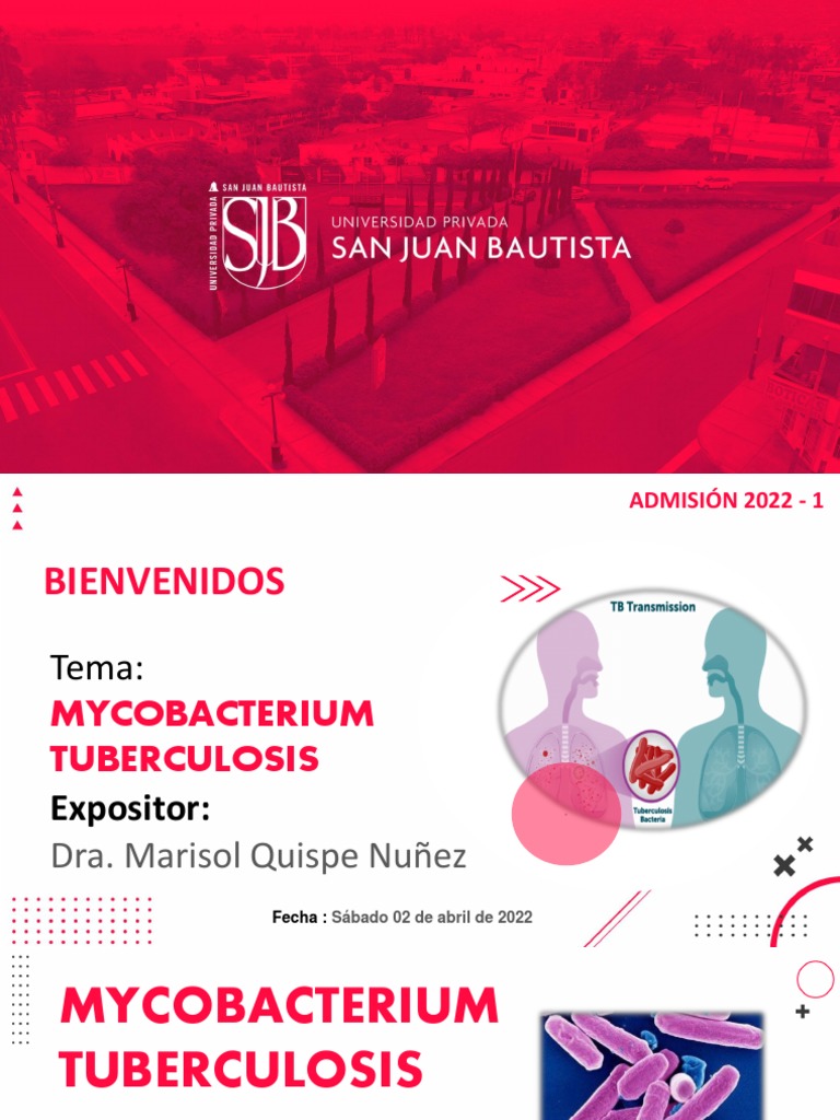 Mycobacterium Tuberculosis | PDF