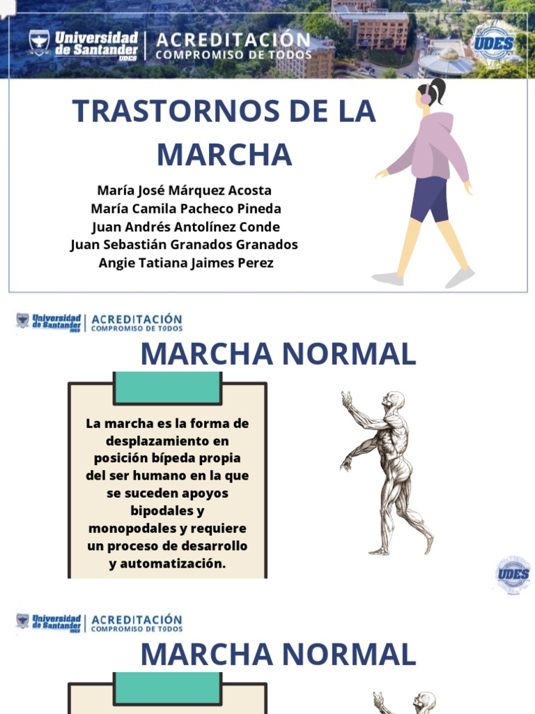 Trastornos de la Marcha y Tipos Patológicos | PDF | Músculo | Pie