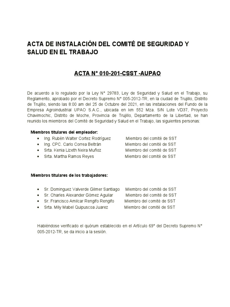 Acta de Instalación Del Comité de Seguridad y Salud | PDF | Gobierno