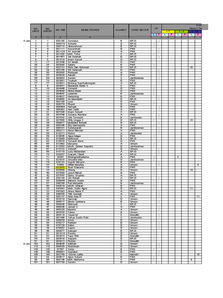 Data Pasien BPJS dan PNS | PDF