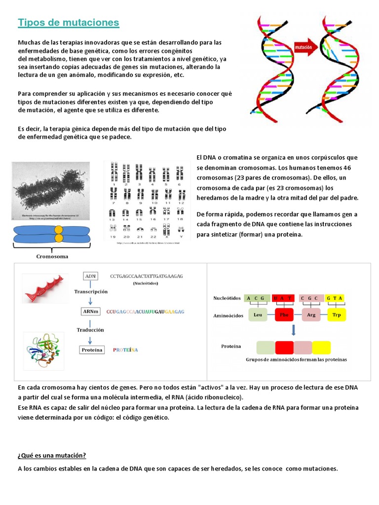 Tipos de Mutaciones Teoría | PDF | Mutación | Gene