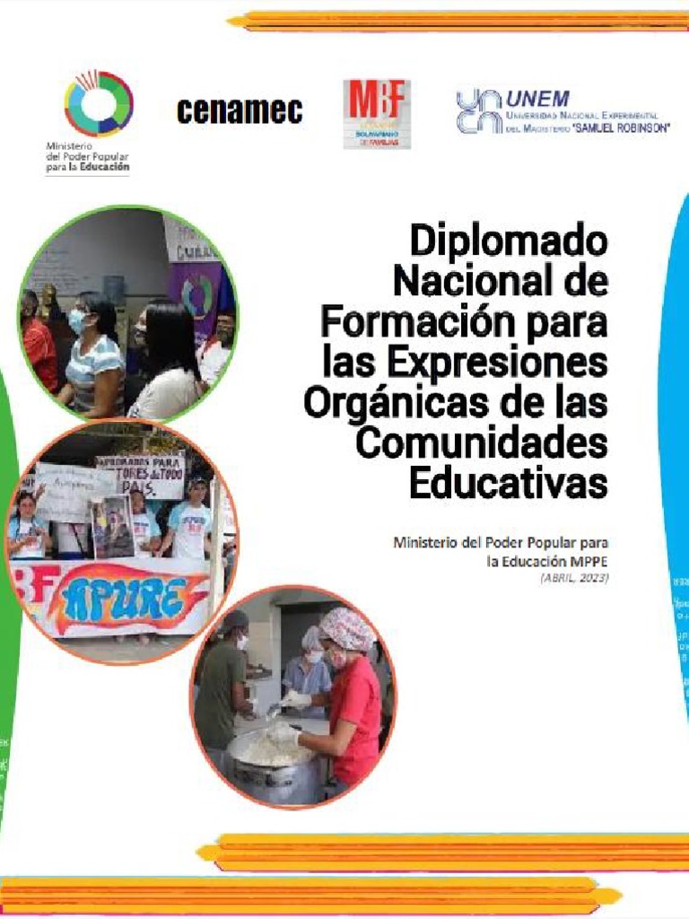 Diplomado Estructuras Organicas | PDF