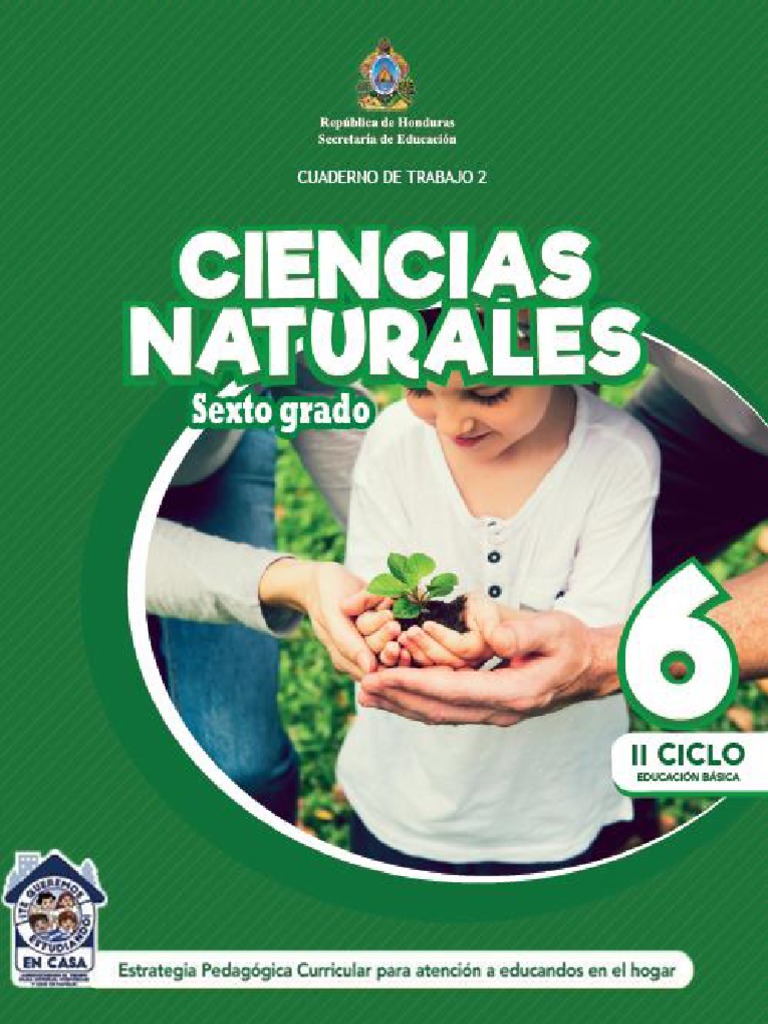 Cuadernillo Ciencias Naturales 6 2 Parte Ct2 CCNN 6to Grado Se ...