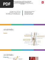 Incisión Rocky Davis | PDF | Medicina CLINICA | Anatomía