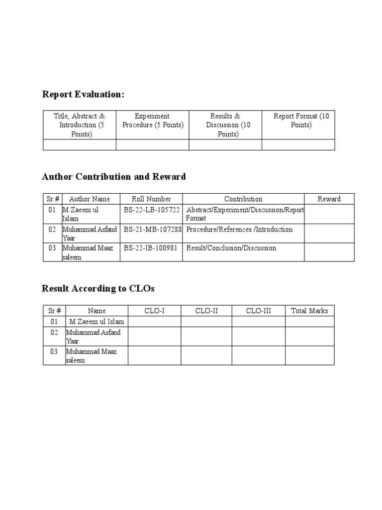 Report Evaluation | PDF