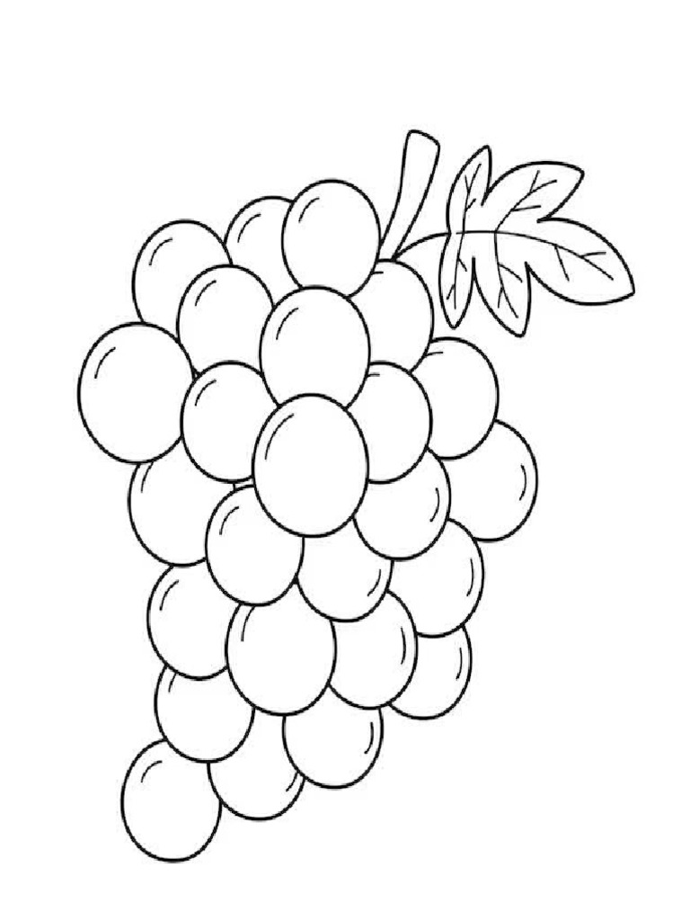 Uva Para Decorar Pdf
