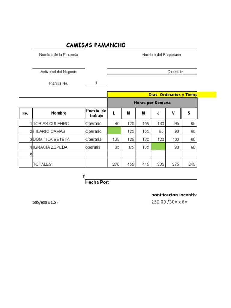 Ejemplo Planilla | PDF | Factura | Economias