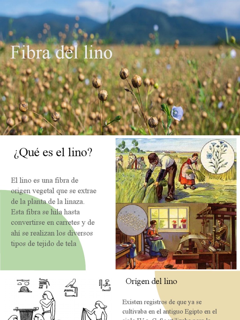 Propiedades y origen de la fibra de lino | PDF