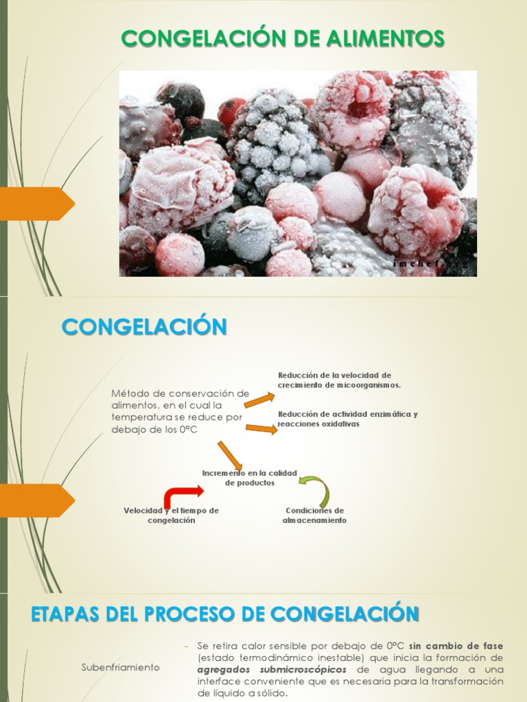 Ejemplos De Congelación Qué Diferencia La Congelación Y