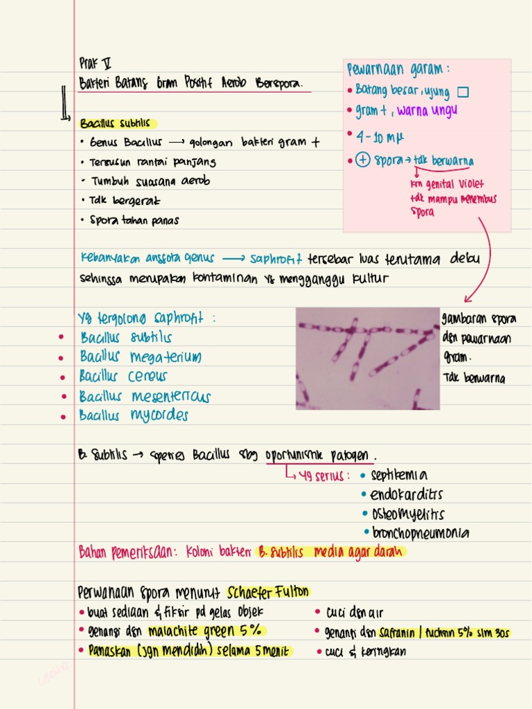 Pr5-Bbs Mikrobiologi (PR) | PDF