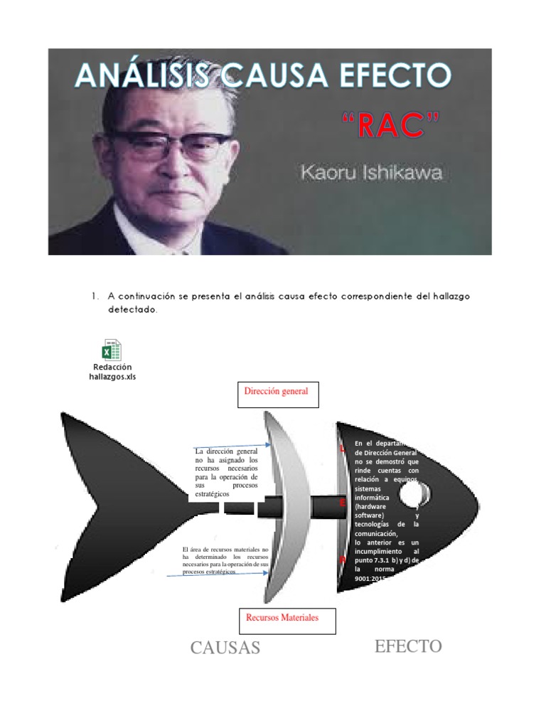 Analisis Causa y Efecto Rac | PDF | Informática | Business