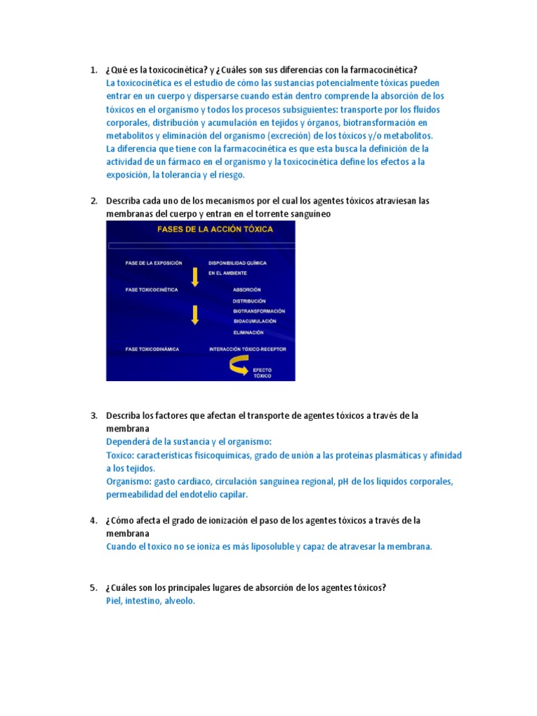 Toxicocinética vs. Farmacocinética | PDF