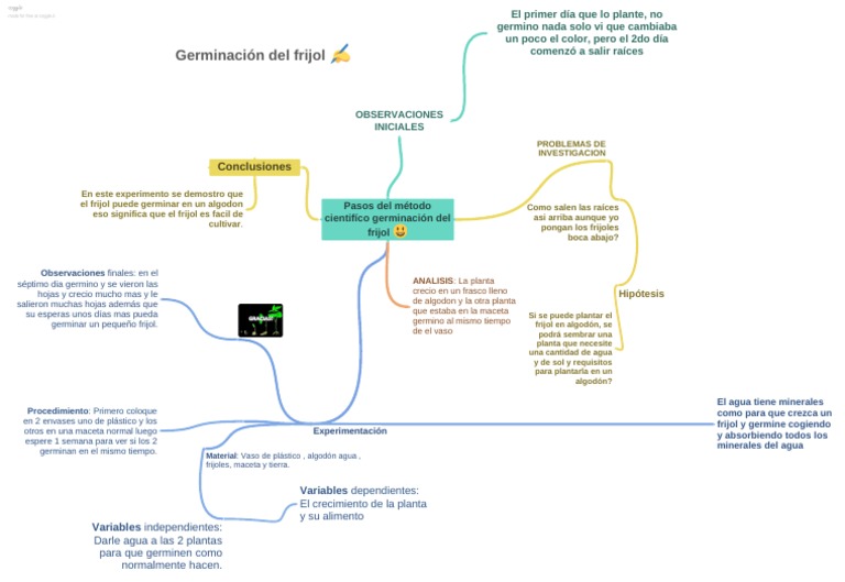 Pasos Del Mtodo Cientifco Germinacin Del Frijol Smiley | PDF | Plantas ... Pasos Del Mtodo Cientifco Germinacin Del Frijol Smiley | PDF | Plantas ...