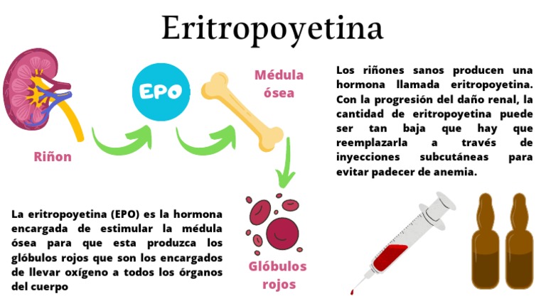 PDF 20230327 164442 0000 | PDF