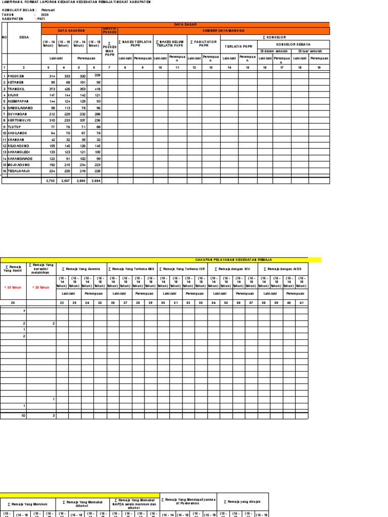 Form Laporan Remaja | PDF