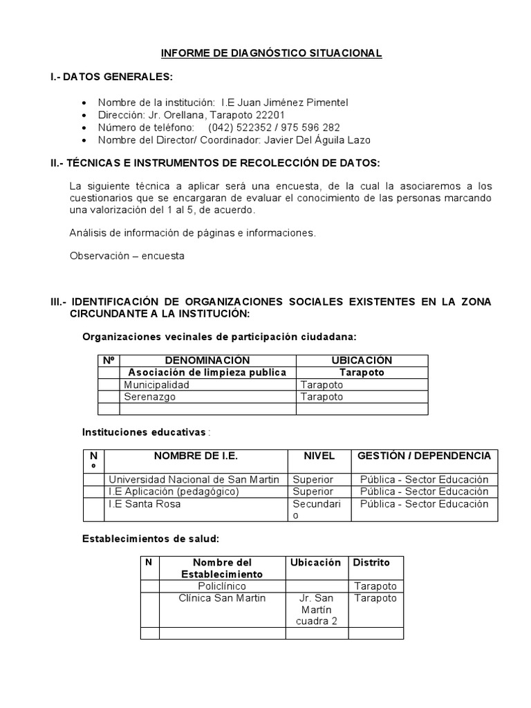 Informe Diagnóstico Situacional | PDF