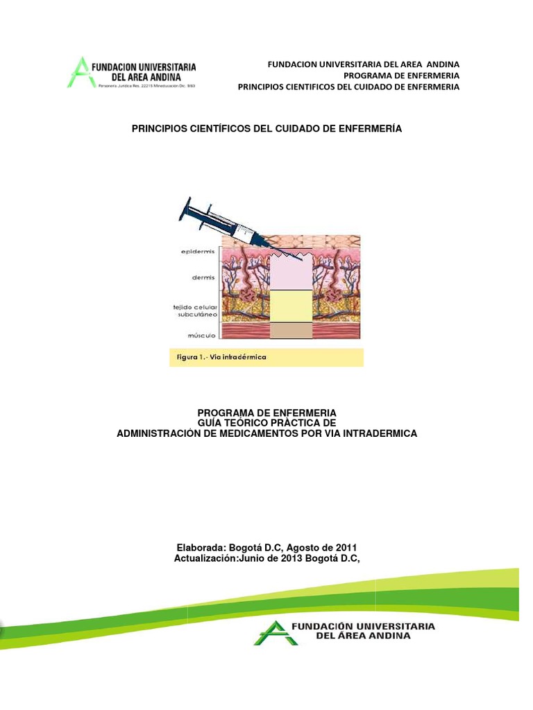 Administracion de Medicamentos Via Intradermica | PDF | Medicamentos ...