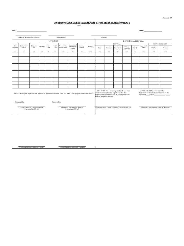 Appendix 67 IIRUP | PDF | Depreciation