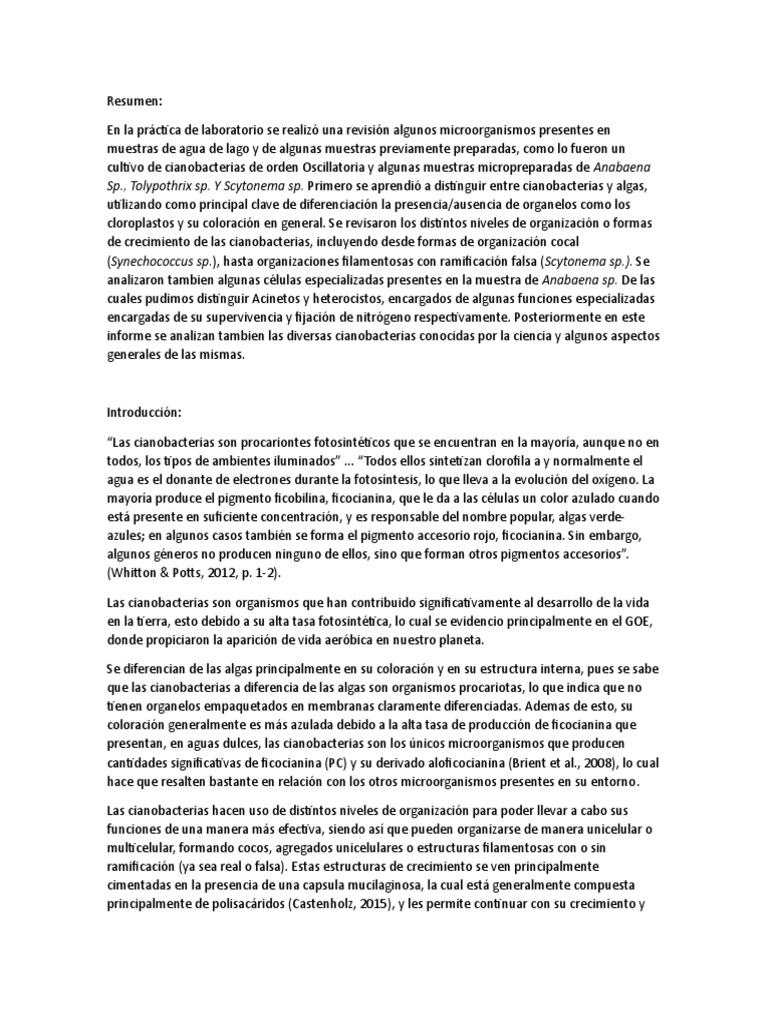 Informe Micro | PDF | Cianobacterias | Eucariotas