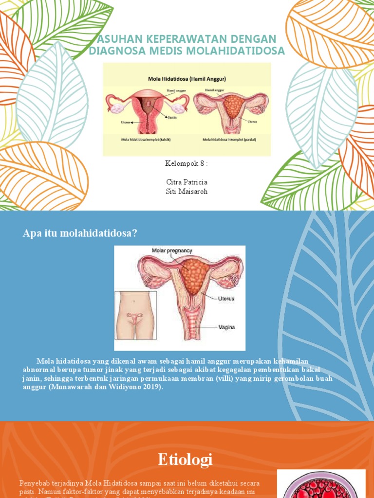 Kel 8 Molahidatidosa-1 | PDF