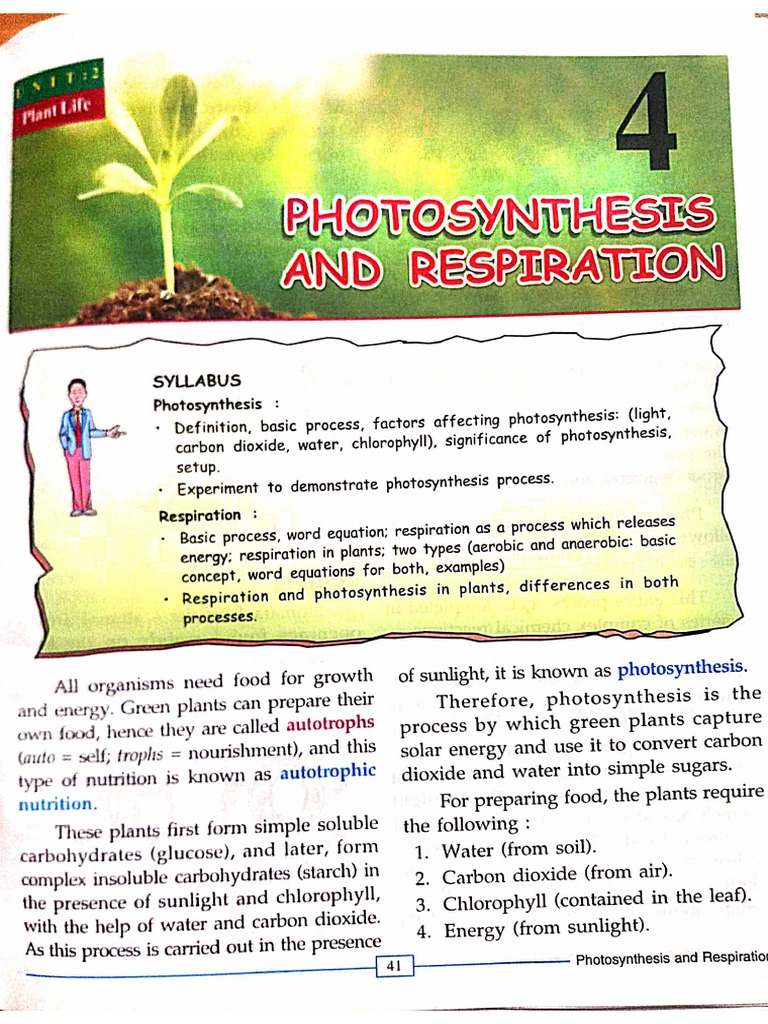 Photosynthesis and Respiration | PDF