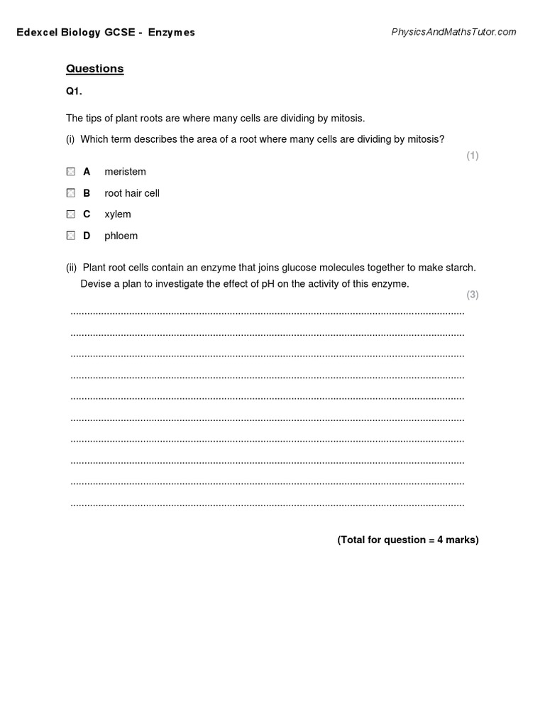 Biology, Topic 1, Enzymes | PDF