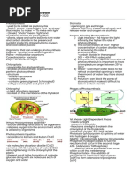 Life Sciences Gr11 Notes Photosynthesis | PDF | Photosynthesis ...