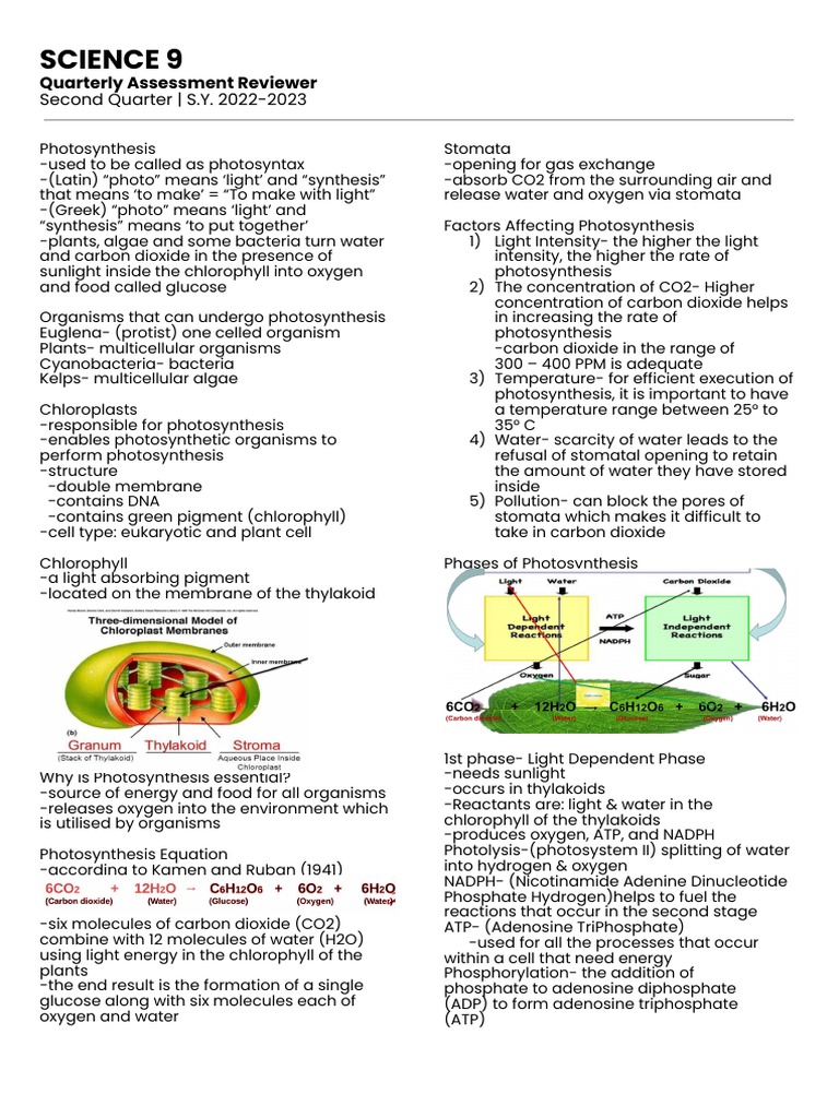 Photosynthesis & Respiration Guide | PDF | Photosynthesis | Cellular ...