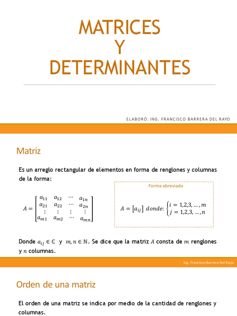 Matrices y Determinantes | PDF | Matriz (Matemáticas) | Determinante