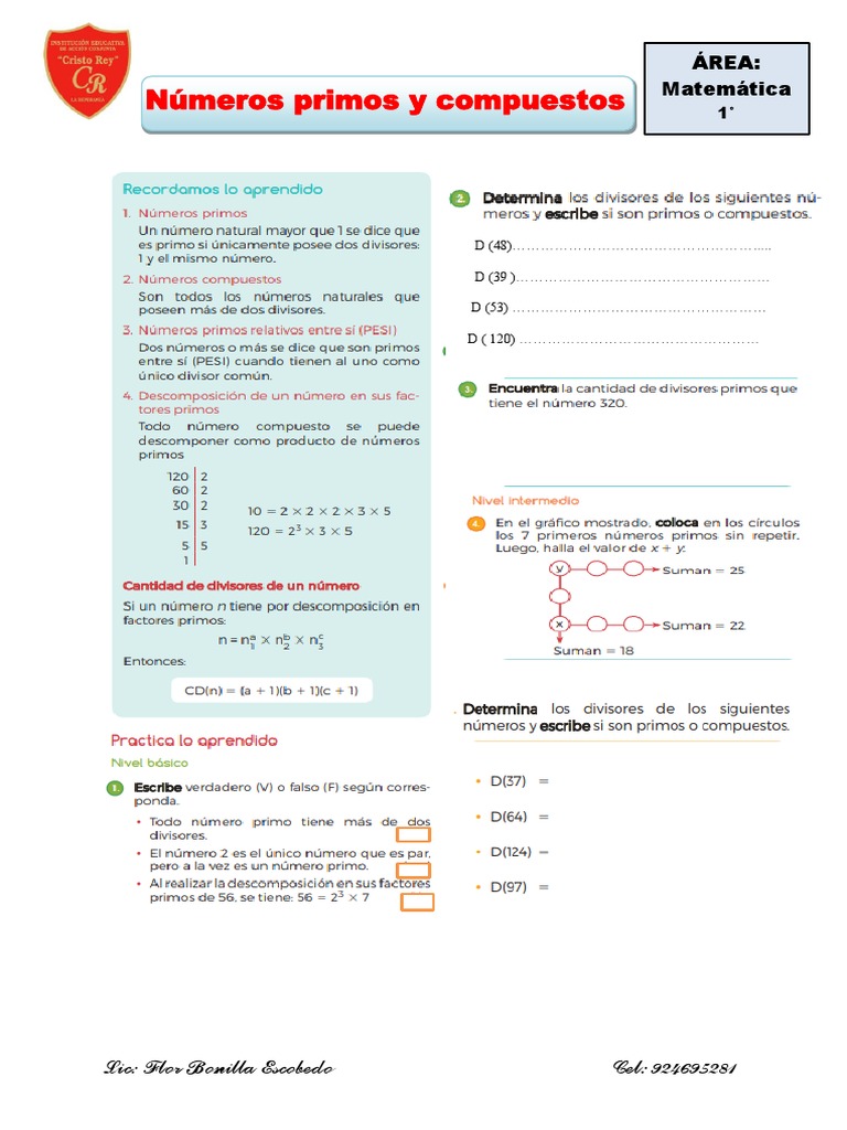 Numeros Primos y Compuestos | PDF