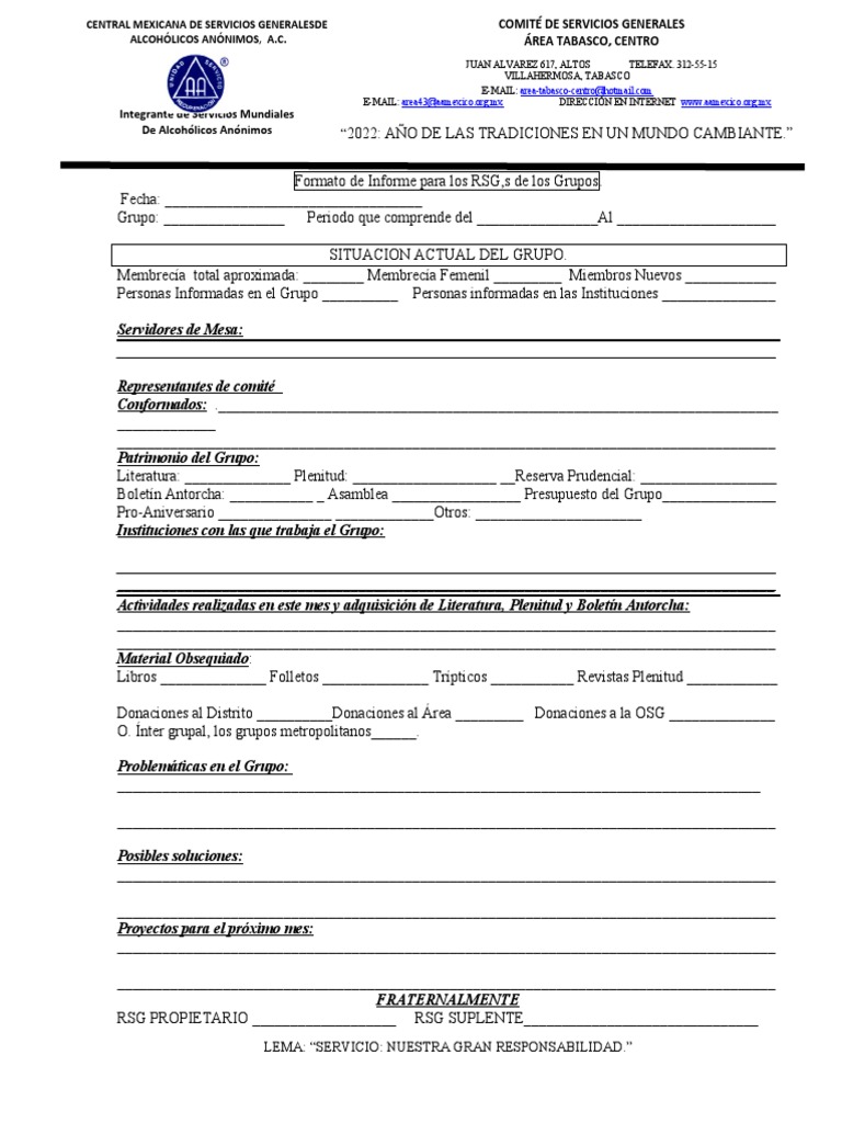 Formato para Informes de Los RSG | PDF