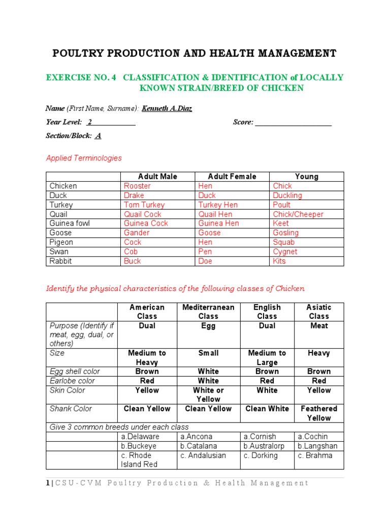 Classification of Philippine Chicken Breeds | PDF | Chicken | Poultry