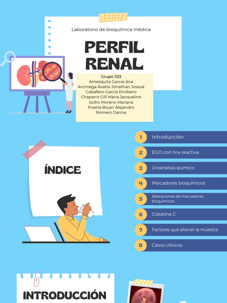 Perfil Renal | PDF | Potasio | Química