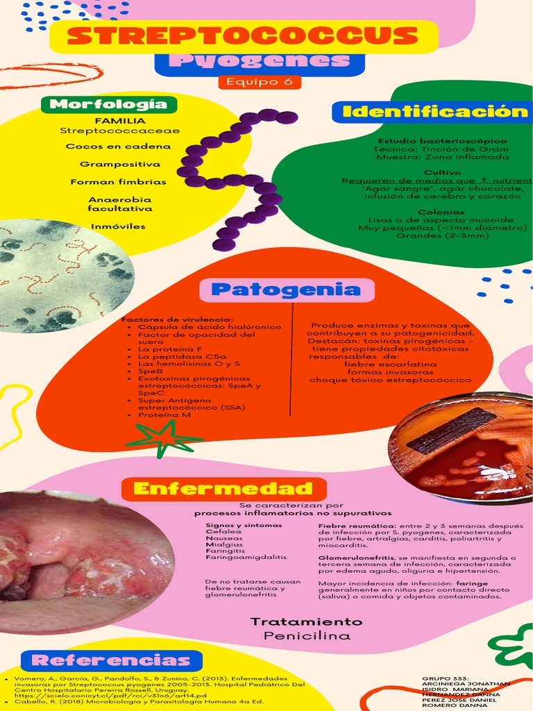Streptococcus Pyogenes | PDF | Estreptococo | Enfermedades y trastornos