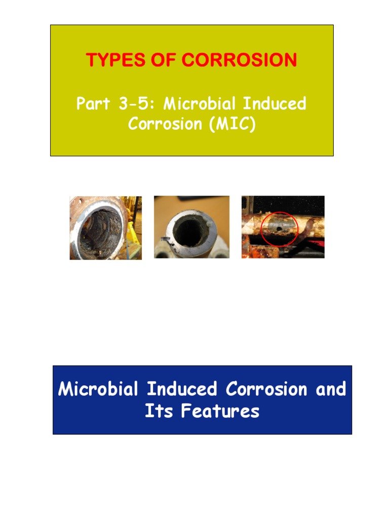 3-5 Microbial Induced Corrosion - Final | PDF