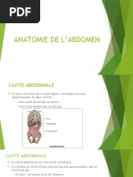 Anatomie des gouttières pariéto-coliques | PDF | Péritoine | Foie