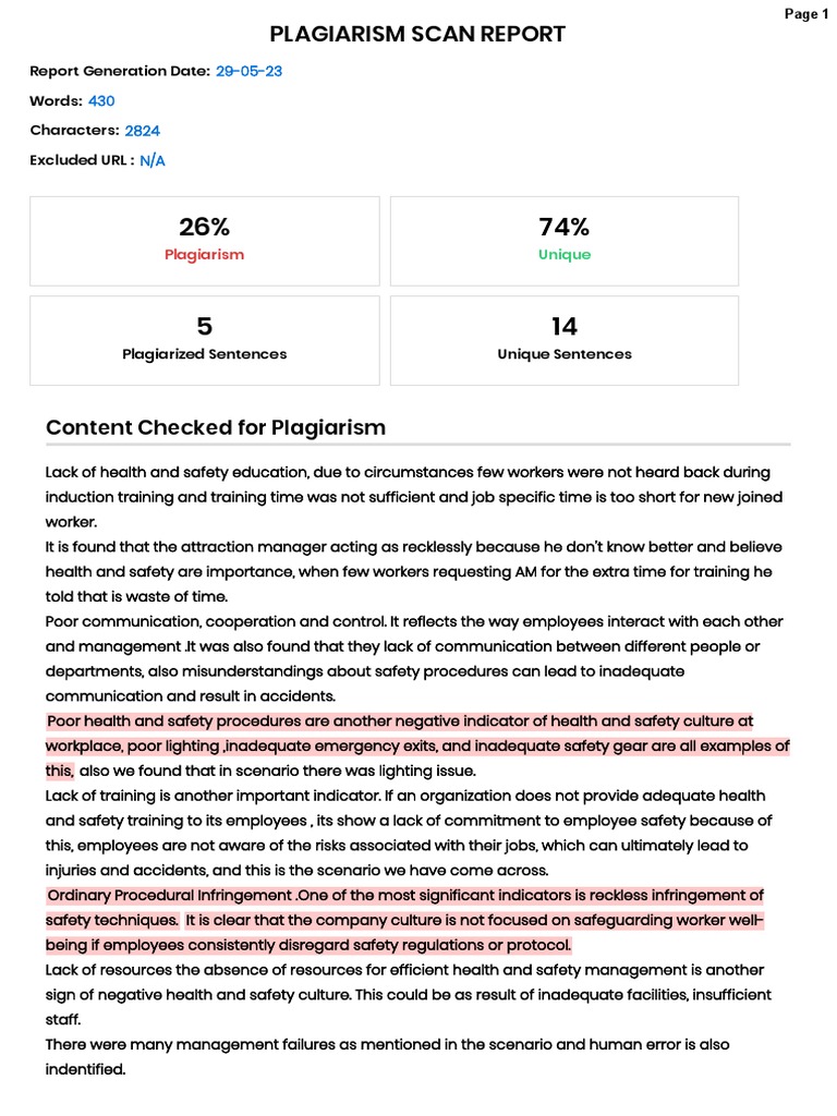 SER Plagiarism Report | PDF | Occupational Safety And Health | Employment