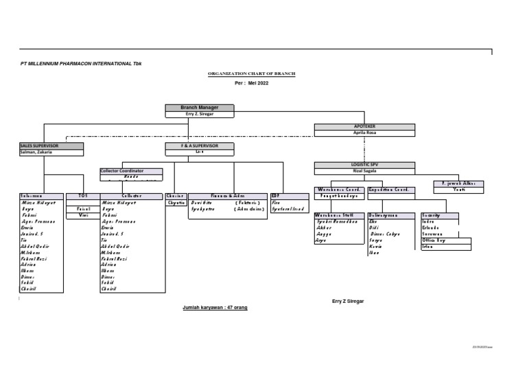 PT Millennium Pharmacon Org Chart | PDF