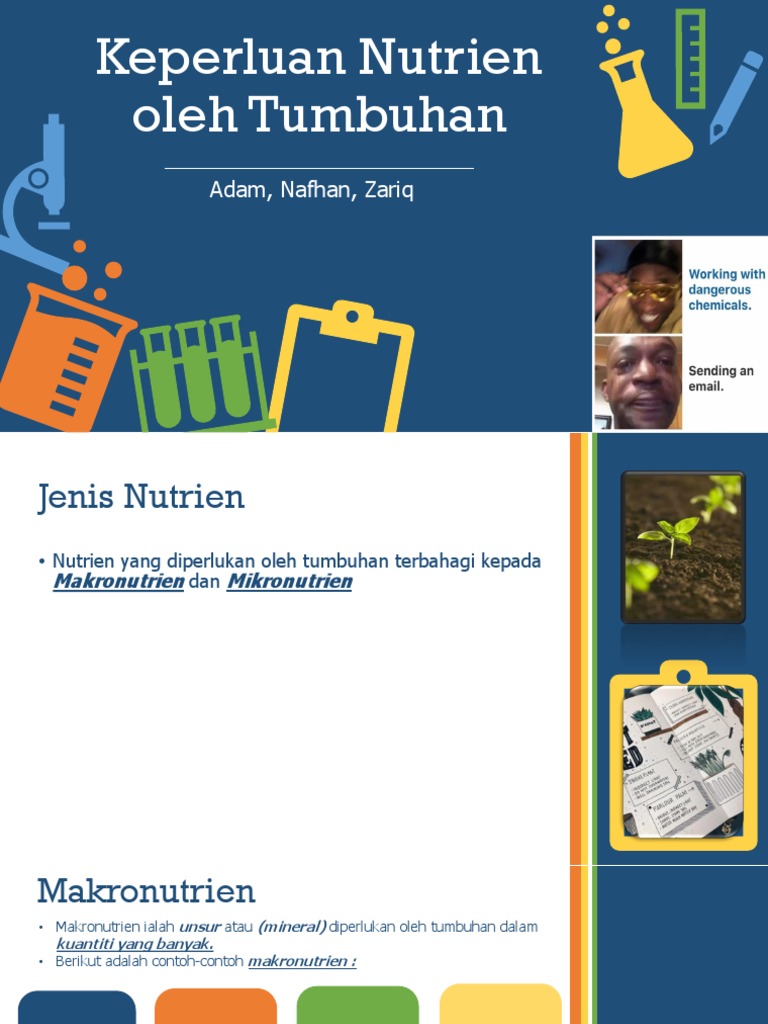 Makronutrien & Mikronutrien | PDF