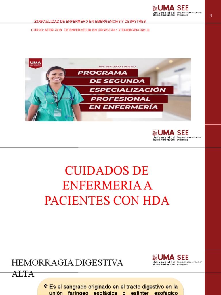 Hda 2 | PDF | Epidemiología | Emergencias Médicas