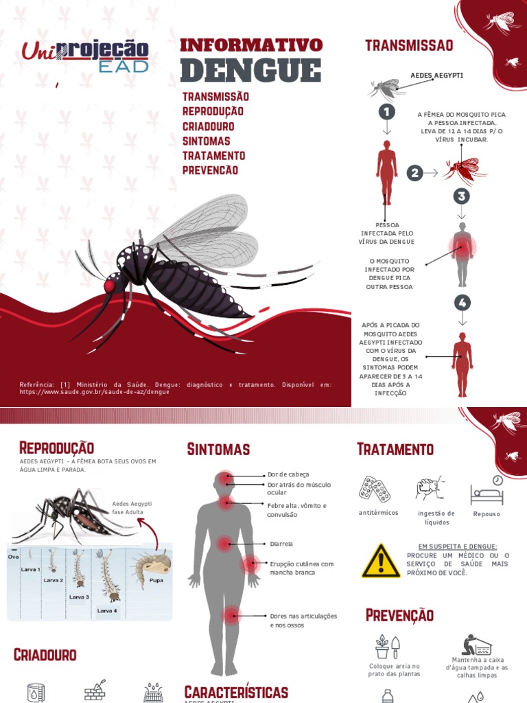 Folheto Informativo Dengue | PDF | Aedes aegypti | Doenças de animais