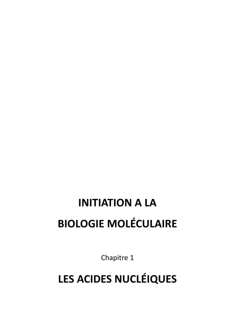 Cours Acides Nucleiques Chap 1 v6 - 2020 Hug' | PDF | Répertoire ...