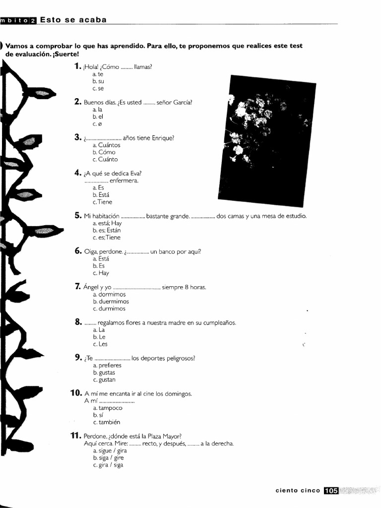 Sueña_Cuaderno_de_Ejercicios_REPASO FINAL | PDF