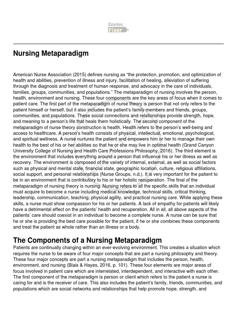 Nursing Metaparadigm | PDF