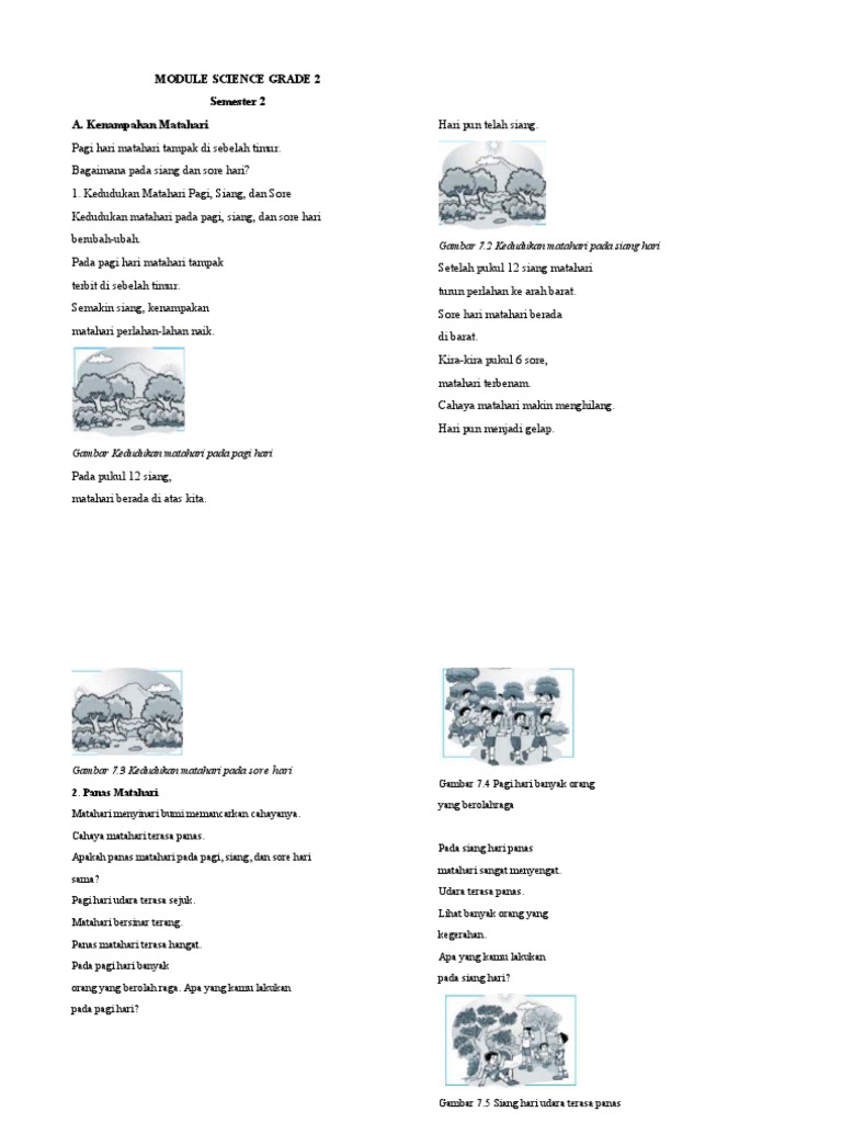 Module Science Grade 2 | PDF