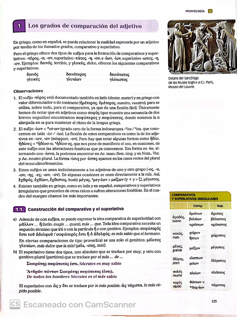 Grados Del Adjetivo (Teoría y Actividades) | PDF