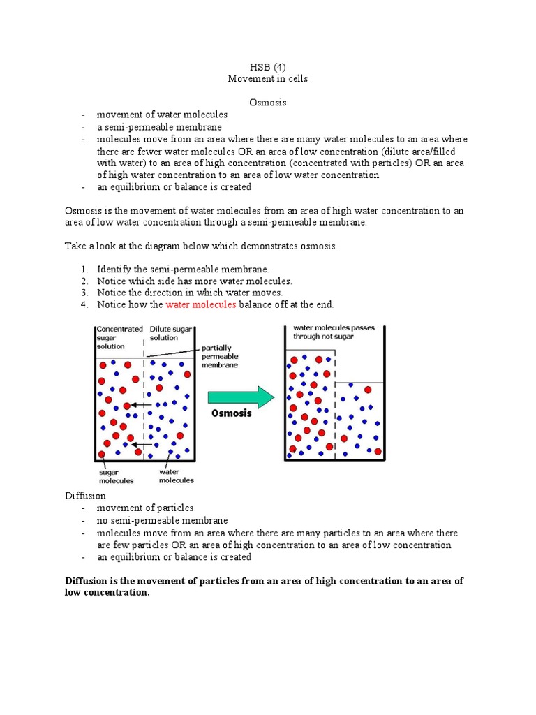 Osmosis | PDF | Osmosis | Diffusion