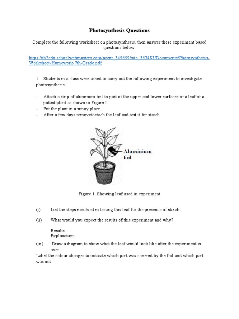 Photosynthesis Question | PDF