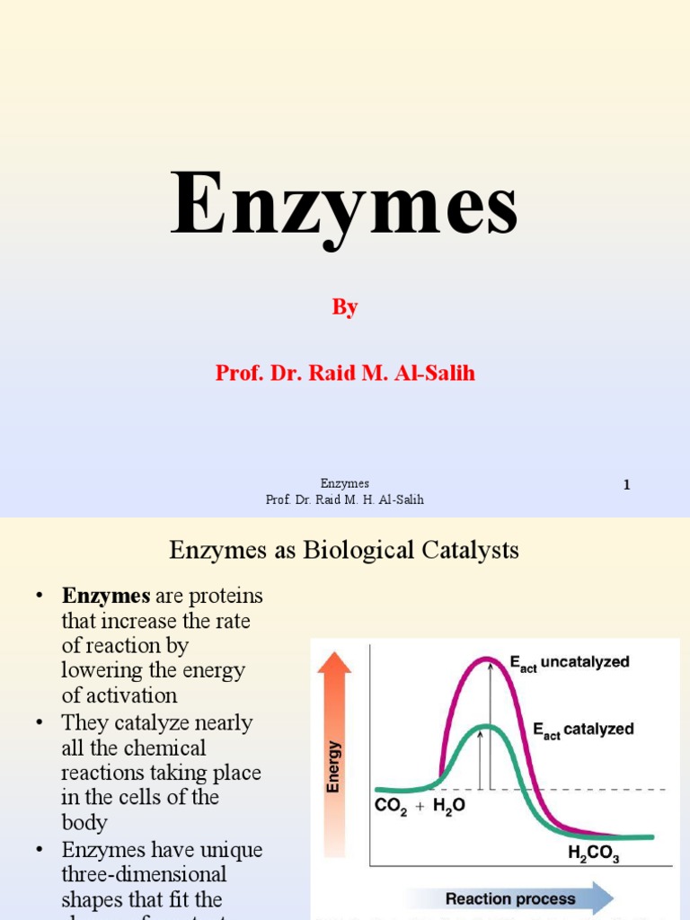Enzymes | PDF | Enzyme | Enzyme Inhibitor