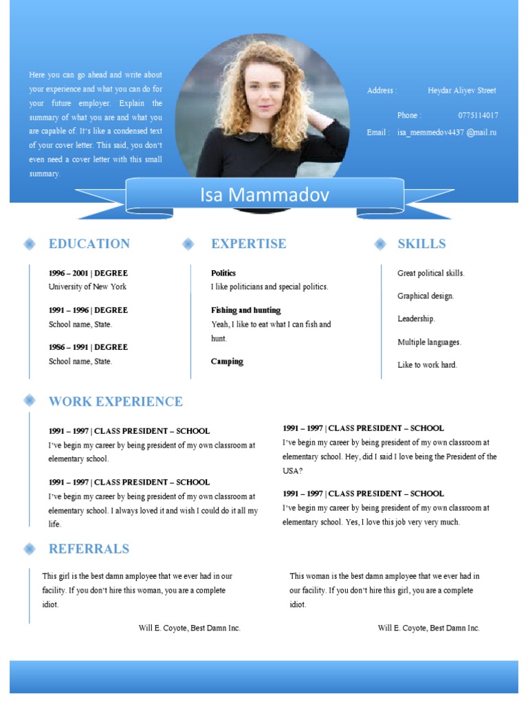2019 Perfect CV Example | PDF